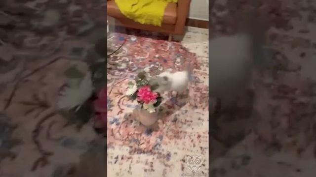 Когда праздник завершился.