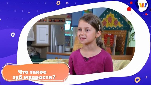 Что такое зуб мудрости?