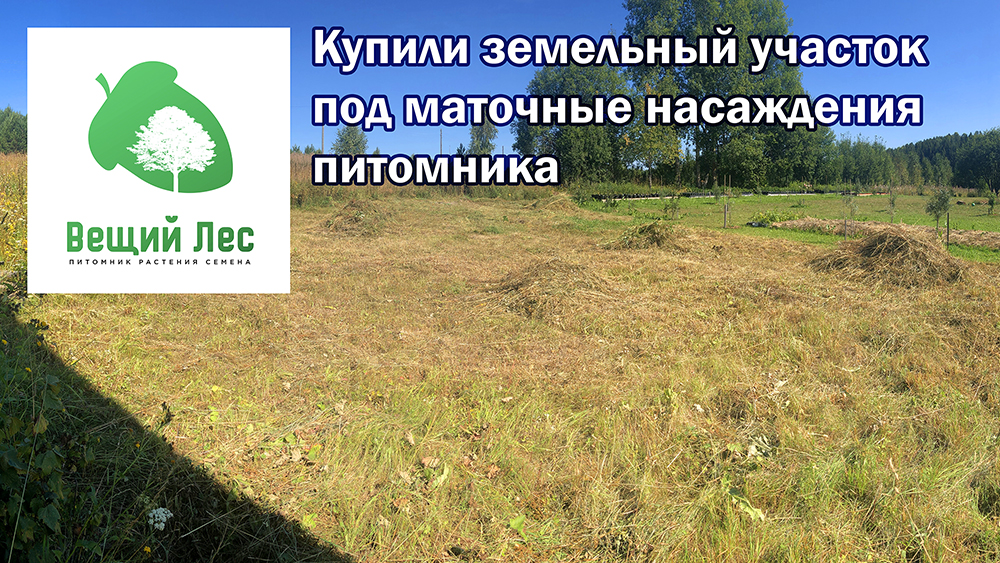 5 серия. Купили земельный участок под маточные насаждения питомника