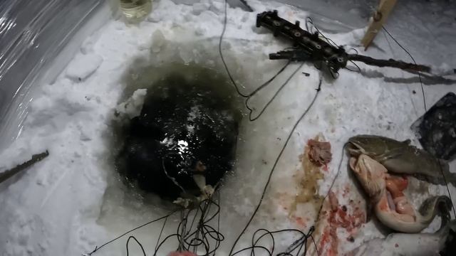 Проверка перемета. Эксперимент с наживкой 2 часть.