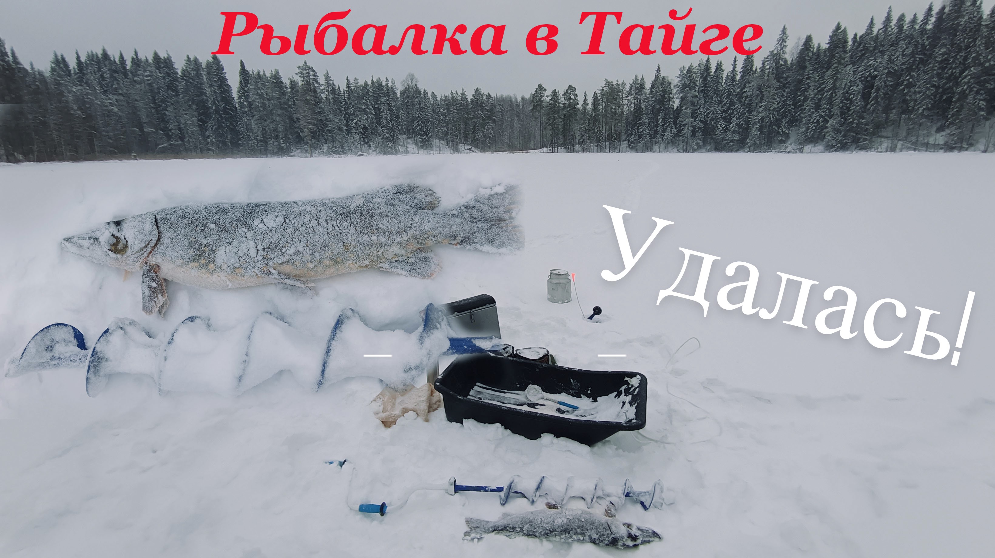 ЗИМНИЙ ПОХОД на РЫБАЛКУ к ГЛУХОМУ ОЗЕРУ, на ЖЕРЛИЦЫ !