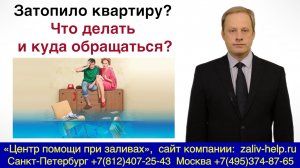 Затопило квартиру? Что делать, куда обращаться и как вернуть деньги | СПб / Москва