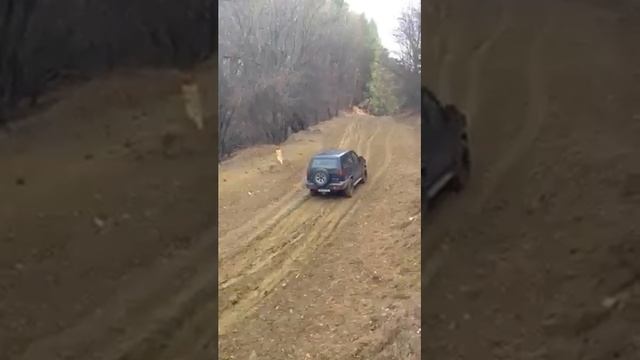 nissan terrano 2 offroad uphill
