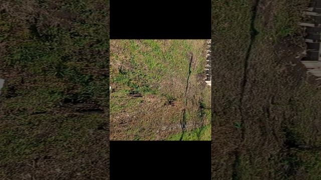 Влад ездеет от зоброшки до теремка