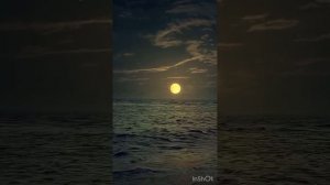 Спокойной ночи ? Приятных и нежных снов ???