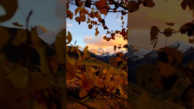VID_20221106_011706_176.mp4