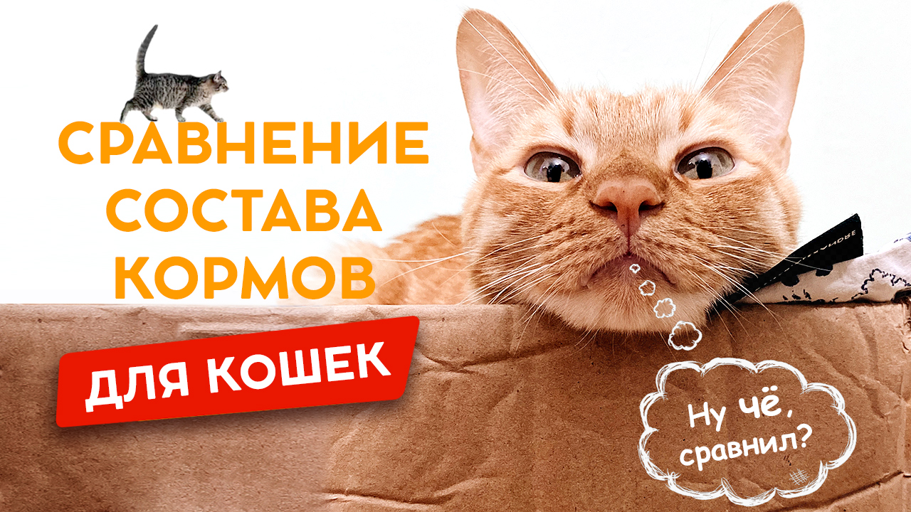 Стоимость наших кормов