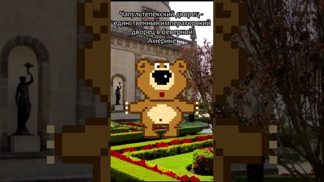 Мишка и дворец