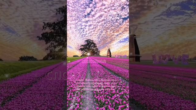 Чем дальше Жизнь, тем больше замечаешь