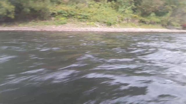 Отдых на реке Томь, 31.08-01.09.2017