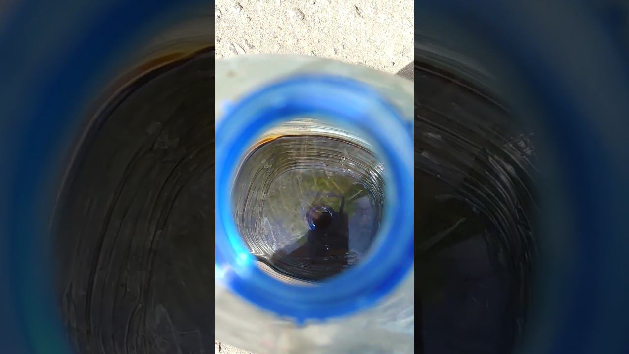 Обзор на 5 - ти минутную промывку LAVR для двигателя #shorts