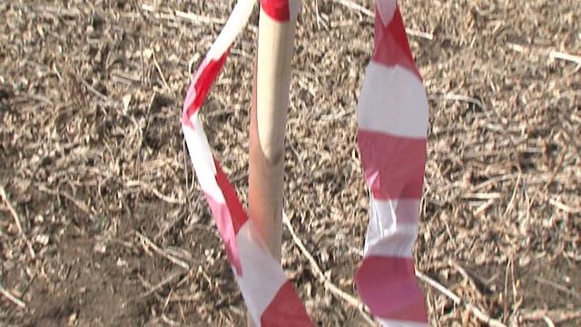 Пилотный участок земли размежевали под огороды вблизи села Дружба