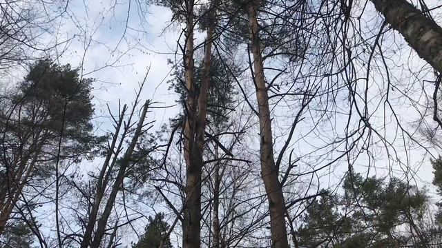 Весна в Битцах.m4v