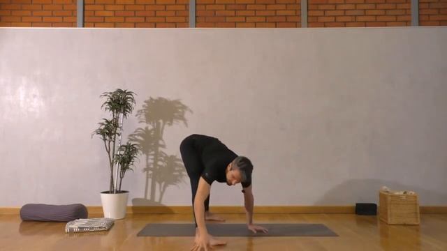 Прогибы практика 28 минут