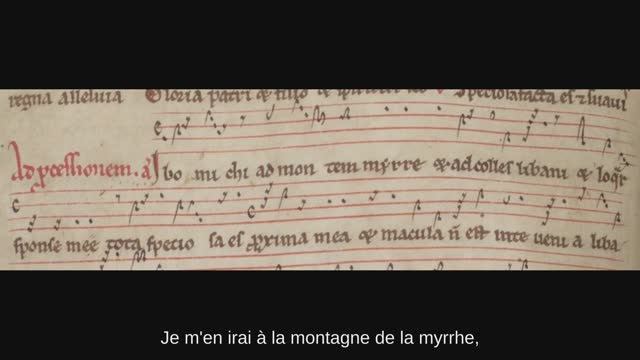 Ibo michi ad montem myrre