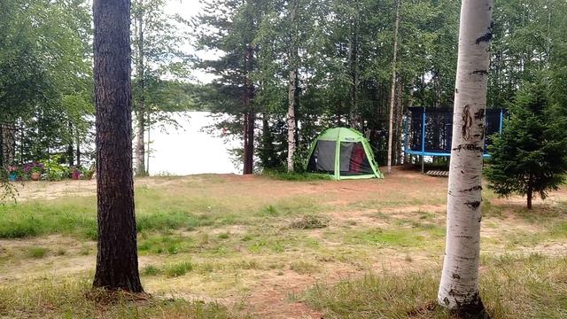 шашлычок 2024.07.27