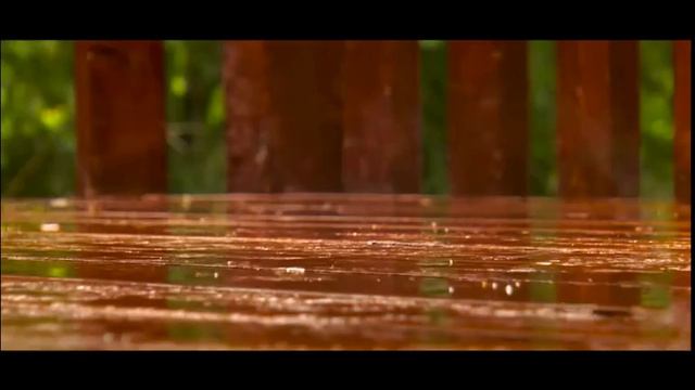 Rain On Deck  Sleep, Study or Focus With Calming Rainstorm Nature Video  White Noise 3hours