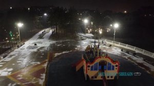 Лиски в свете ночных фонарей.