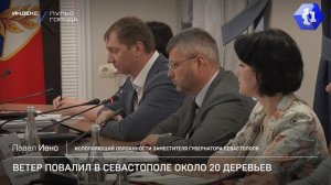 Ветер повалил в Севастополе около 20 деревьев