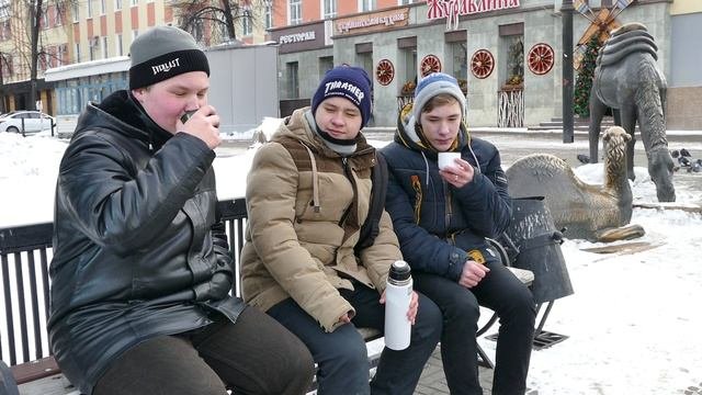 Верблюды