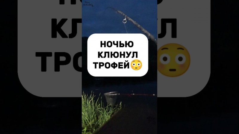 Ночью клюют самые крупные##fishing #фидер #шортс #fish #рек #рекомендации  #лещ  #боленрыбалкой