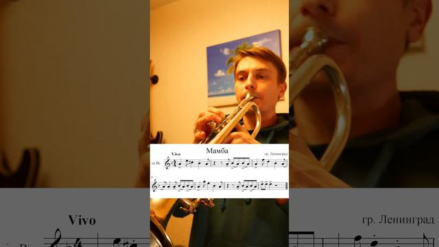 Мамба - Ленинград на трубе