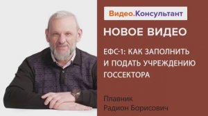 Видеоанонс лекции Р.Б. Плавника "ЕФС-1: как заполнить и подать учреждению госсектора"