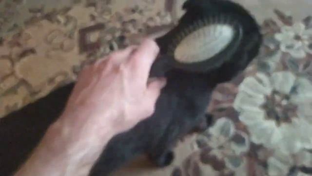 Порода Селкирк-Рекс     2 мая 2021 г..mp4