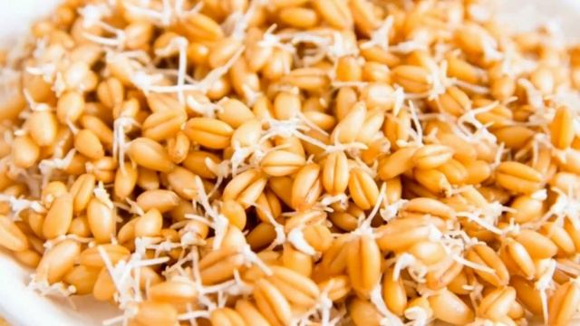 Признаки железодефицитной анемии!