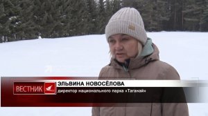 Прогулки с пользой. В национальном парке «Таганай» официально открыли лыжню до Черной скалы
