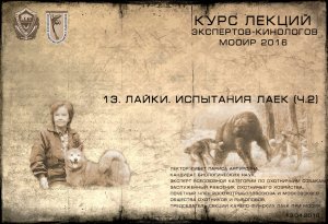 Лекция 13. Лайки. Испытания лаек. Ч.2 (Курсы экспертов-кинологов МООиР 2016)