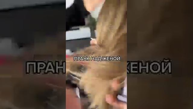 VID_20221220_224851_865.mp4