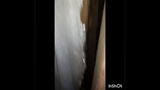 ПроРемонт.Реконструкция сарая для птицы.Фильм3.Серия1 .mp4