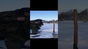 Дед ловит крупную сорогу на мормышку.