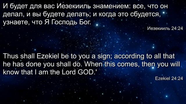 2.Виталий Олейник   Азы адвентизма Пророческое движение_ Книга Откровение.mp4