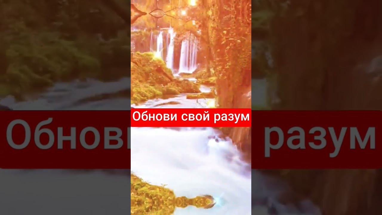 Сознание | Путь к Процветанию и Изобилию #подсознание #развитие #мотивация