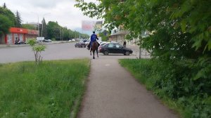 206 ВСАДНИК НА ЛОШАДИ ПО ОКТЯБРЬСКОЙ