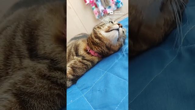 Тебе была я рада