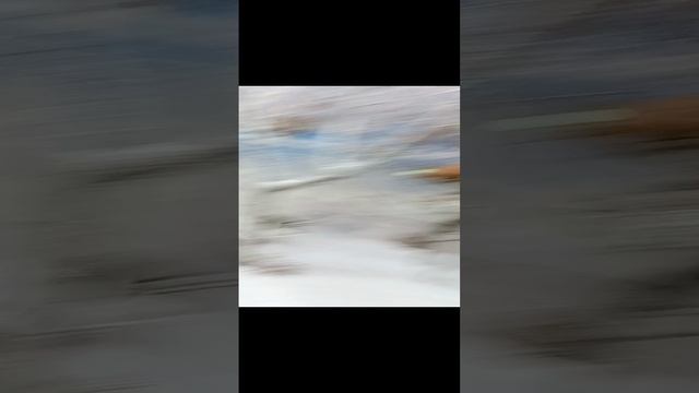 Краеведческий музей Курск
