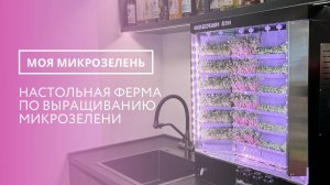 Настольная ферма выращивает микрозелень для вашего бизнеса. От создателей ГК "Здоровья КЛАД"