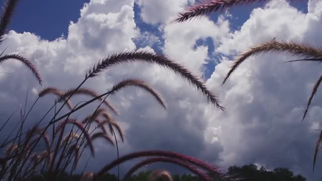 Первый шаг. 3 июня. Мужество меняться. Ежедневник для созависимых