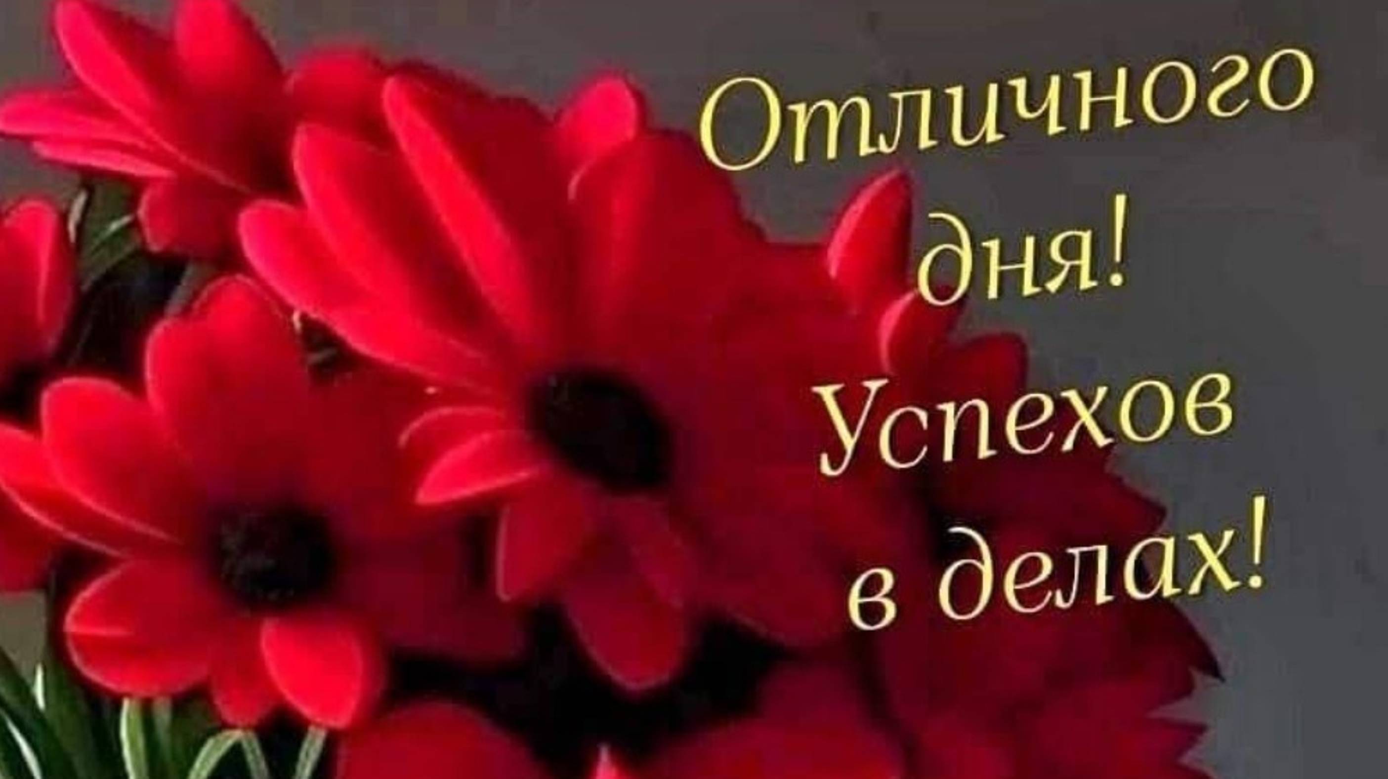 Доброе Утро!!!! Урра, весна!!!! Дождались! Красивой, счастливой,тёплой вам Весны!