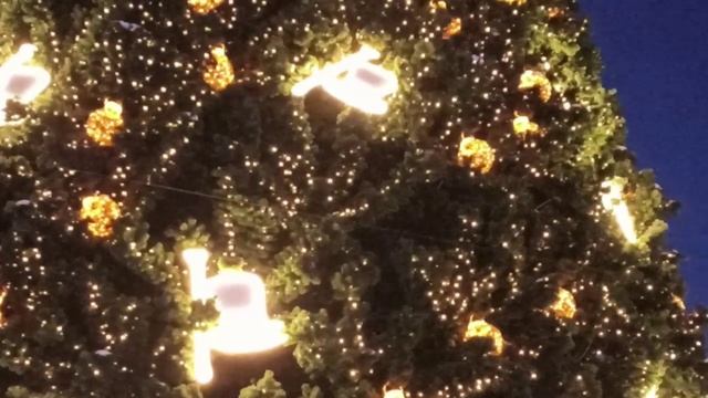 Екатеринбург. Ледовый городок на главной площади города