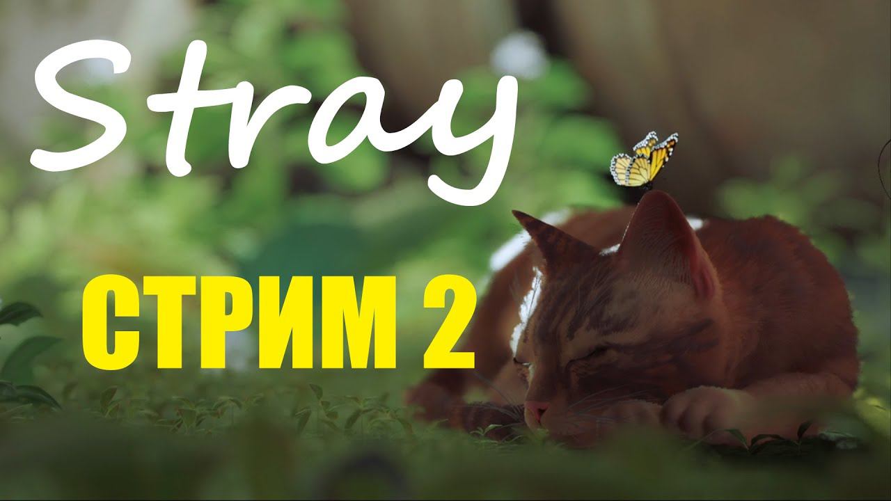 Stray прохождение  СТРИМ №2