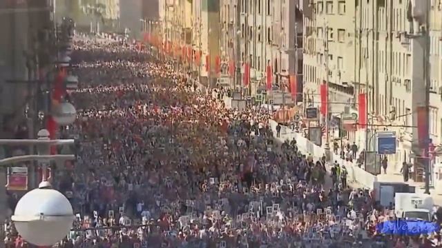Уроки истории  Александр Саверский, Василиса Саверская