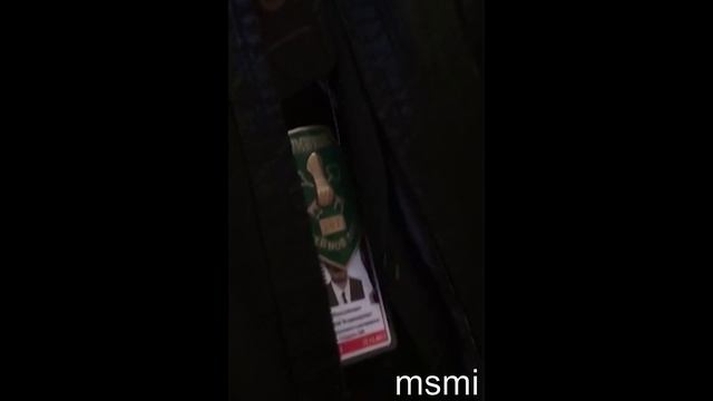 охранник эрмитажа.avi