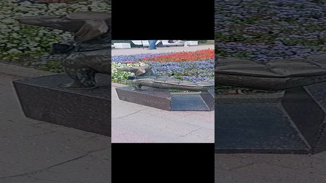 курортный город Зеленогорск