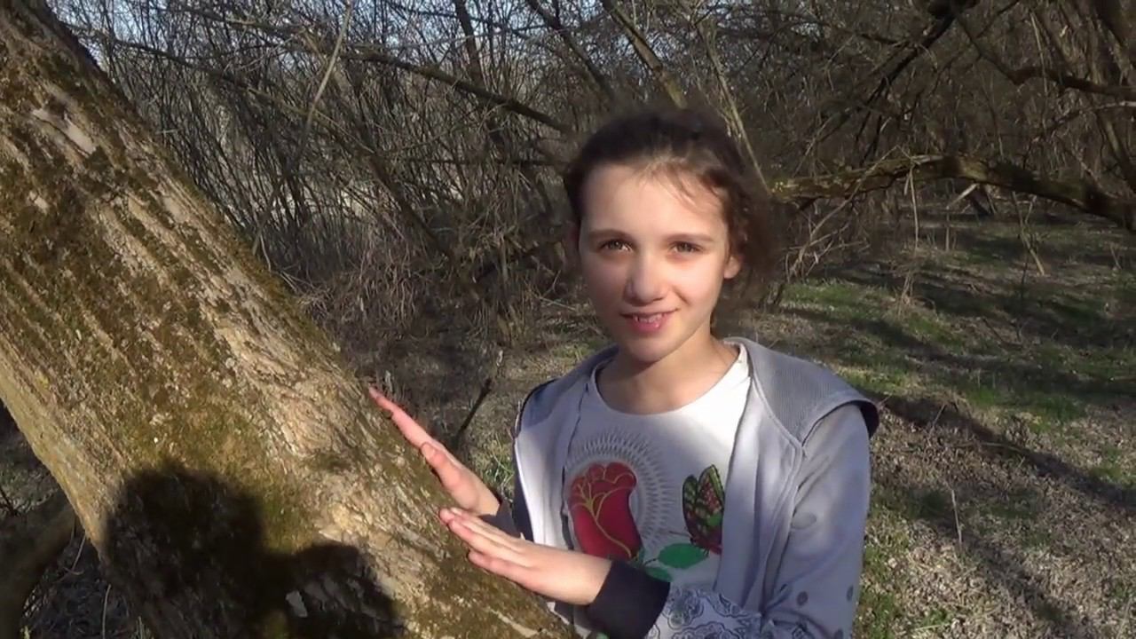 Весенняя прогулка по лесу. Лес ранней весной.