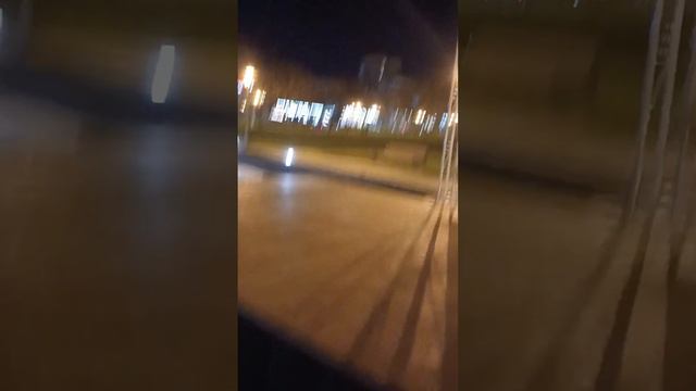 31 марта 2023_ парк на ромашке