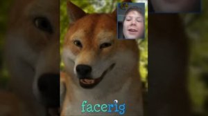 Пробуем face rig
